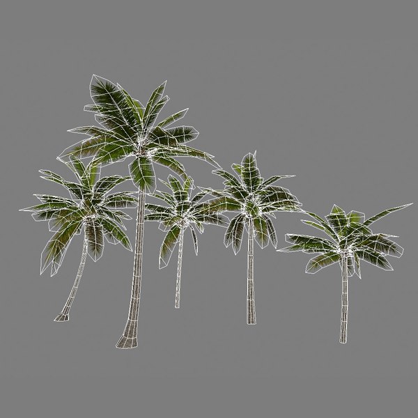 3d package palm trees model