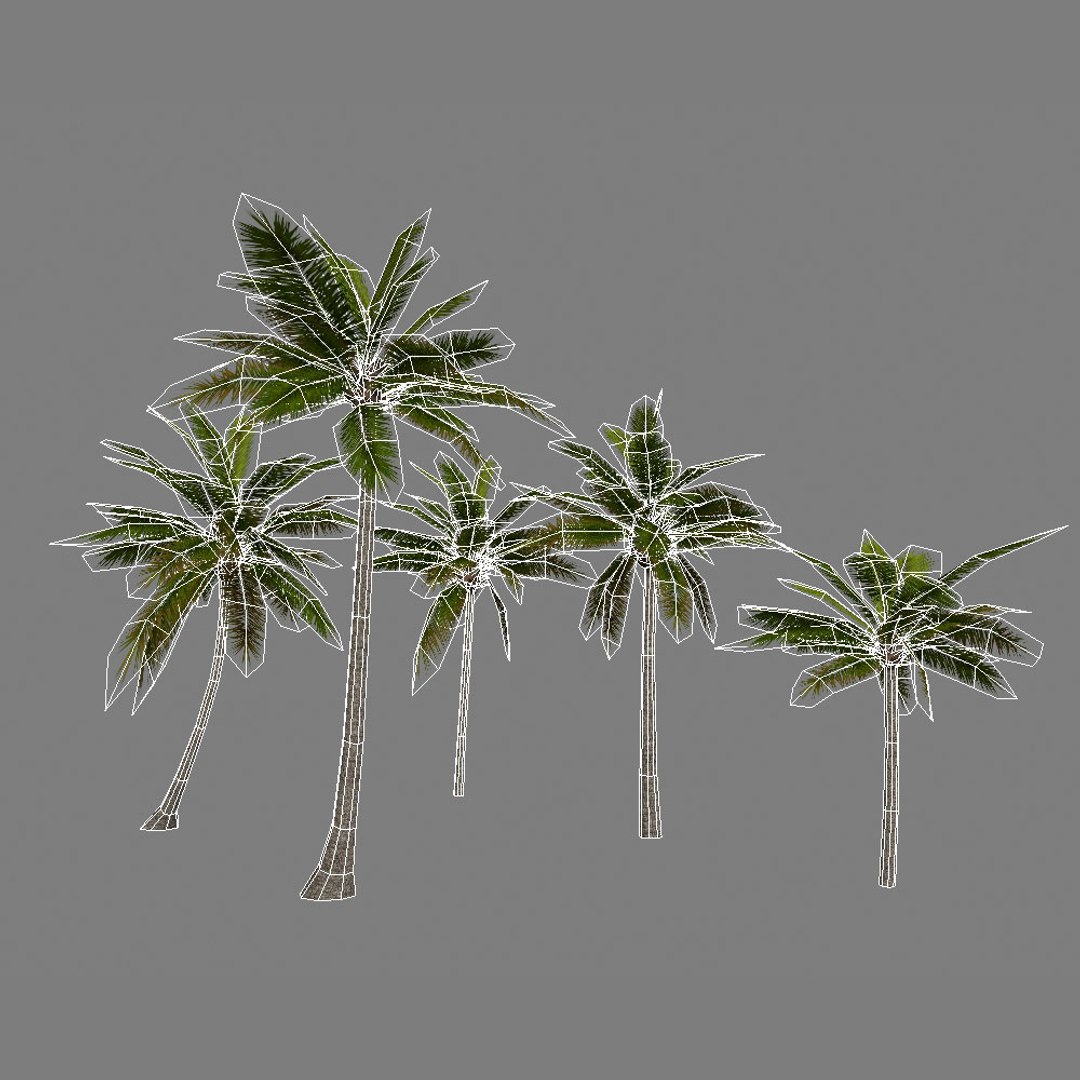 3d Package Palm Trees Model