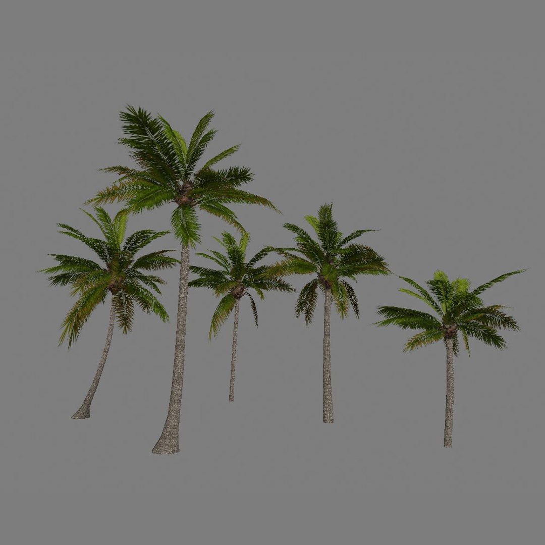 3d Package Palm Trees Model