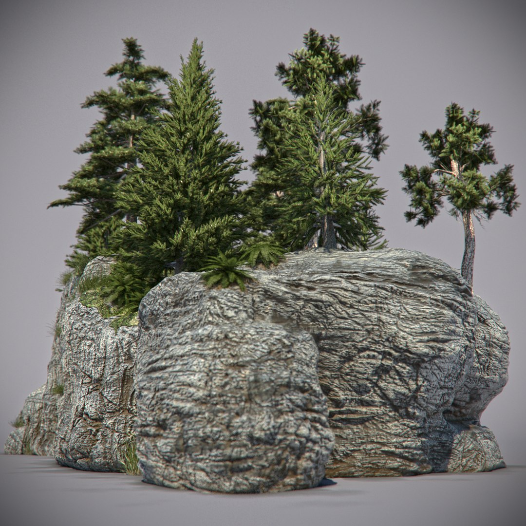 max forest rock