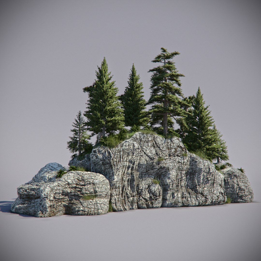 max forest rock