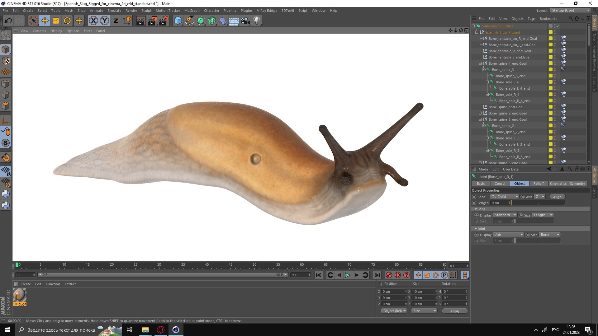3D model Spanish Slug Rigged for Cinema 4D - TurboSquid 2018546