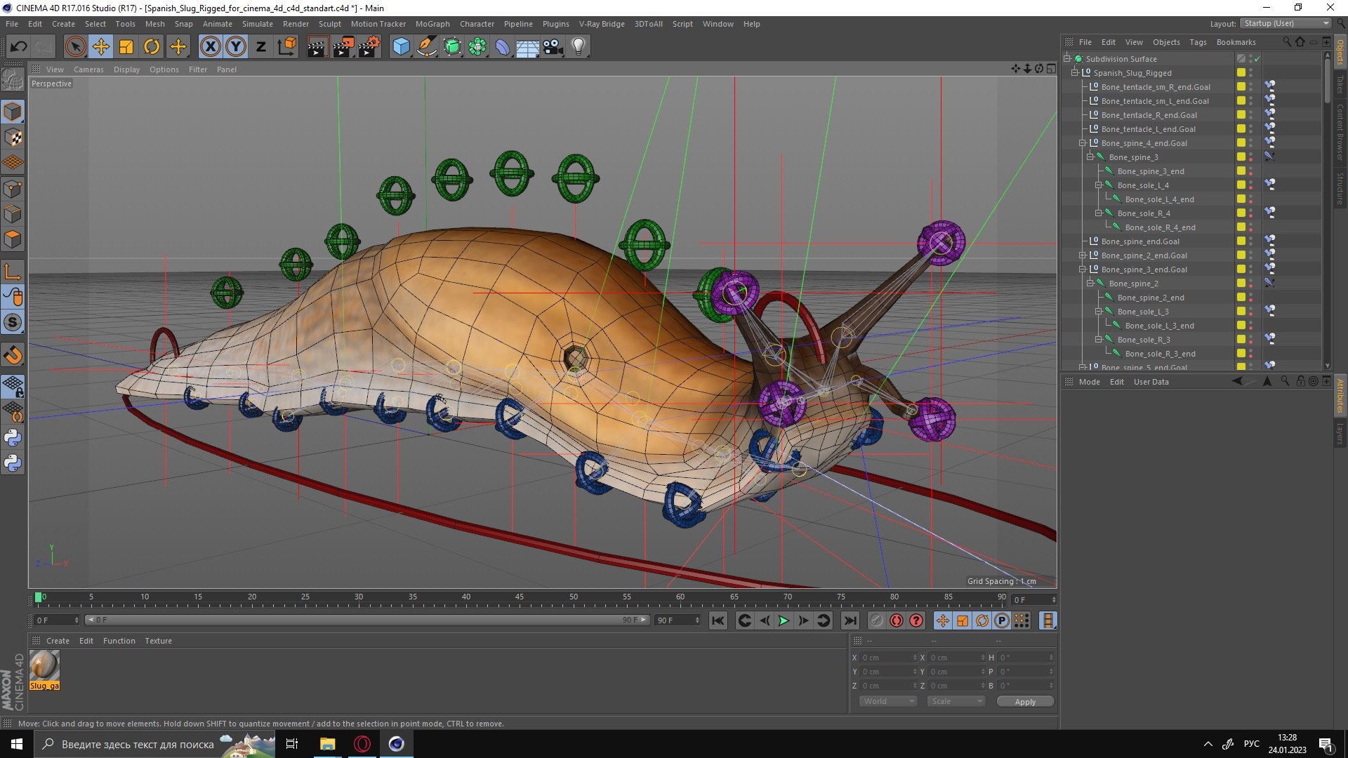 3D model Spanish Slug Rigged for Cinema 4D - TurboSquid 2018546