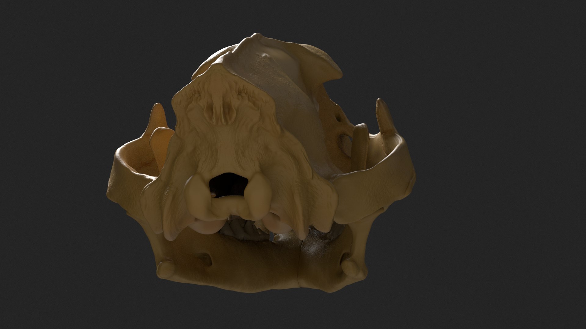 3D Lion Skull Model - TurboSquid 1780894