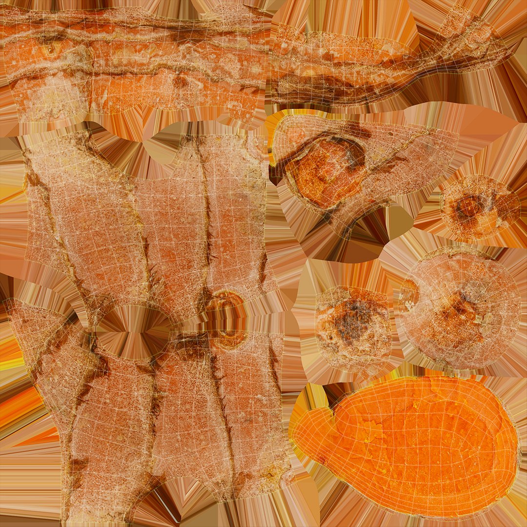 Turmeric Root Set 3D model - TurboSquid 1866540