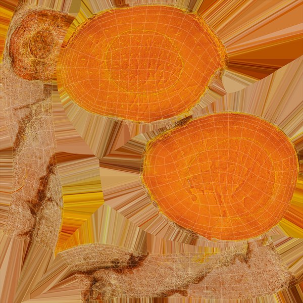 Turmeric Root Set 3D model - TurboSquid 1866540