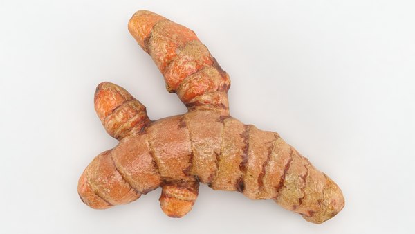 Turmeric Root Set 3D model - TurboSquid 1866540