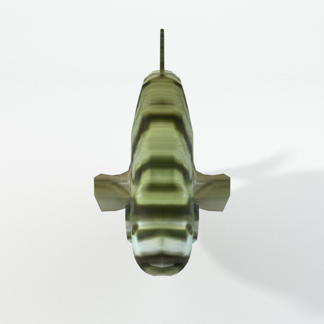 3D argus fish - TurboSquid 1318725