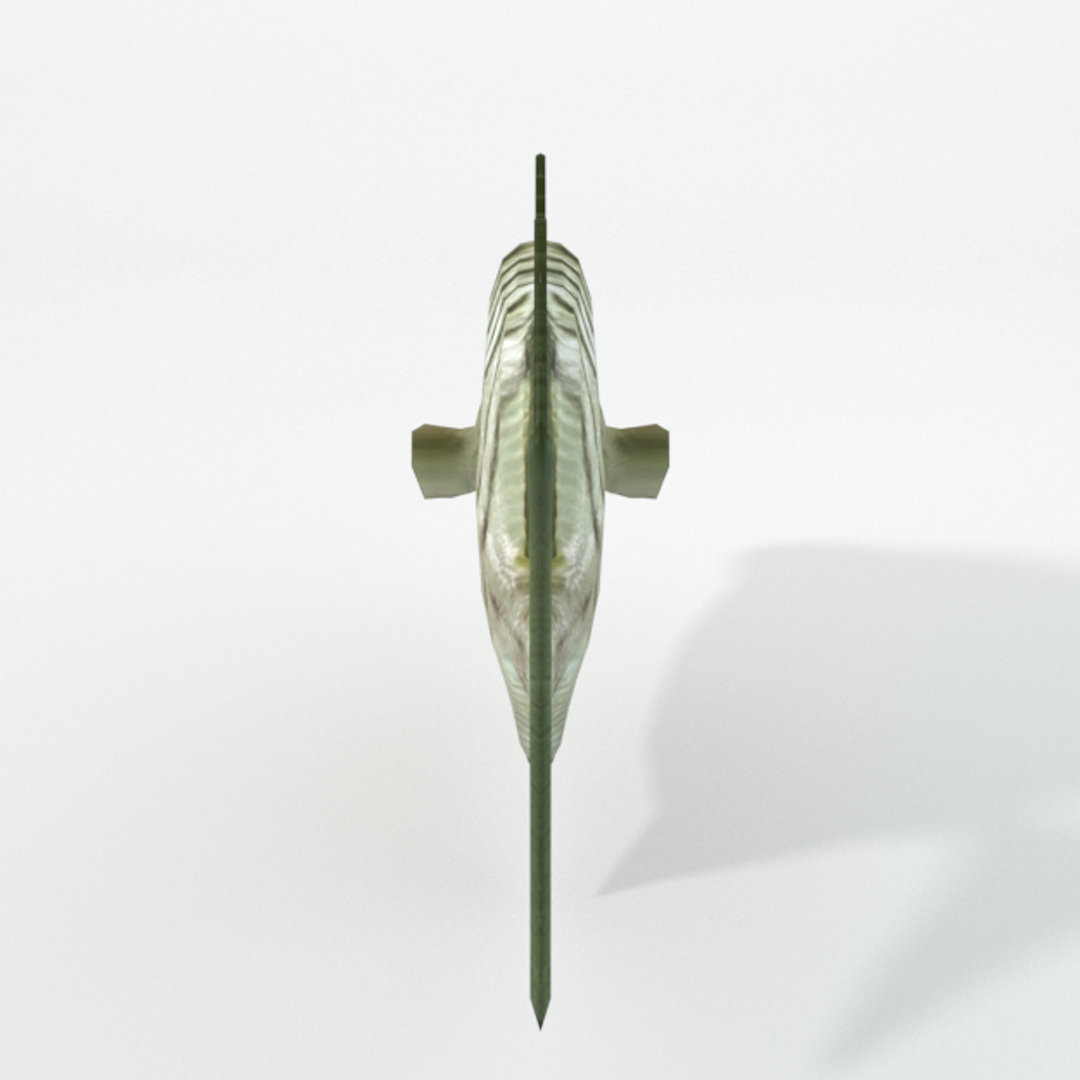 3D argus fish - TurboSquid 1318725