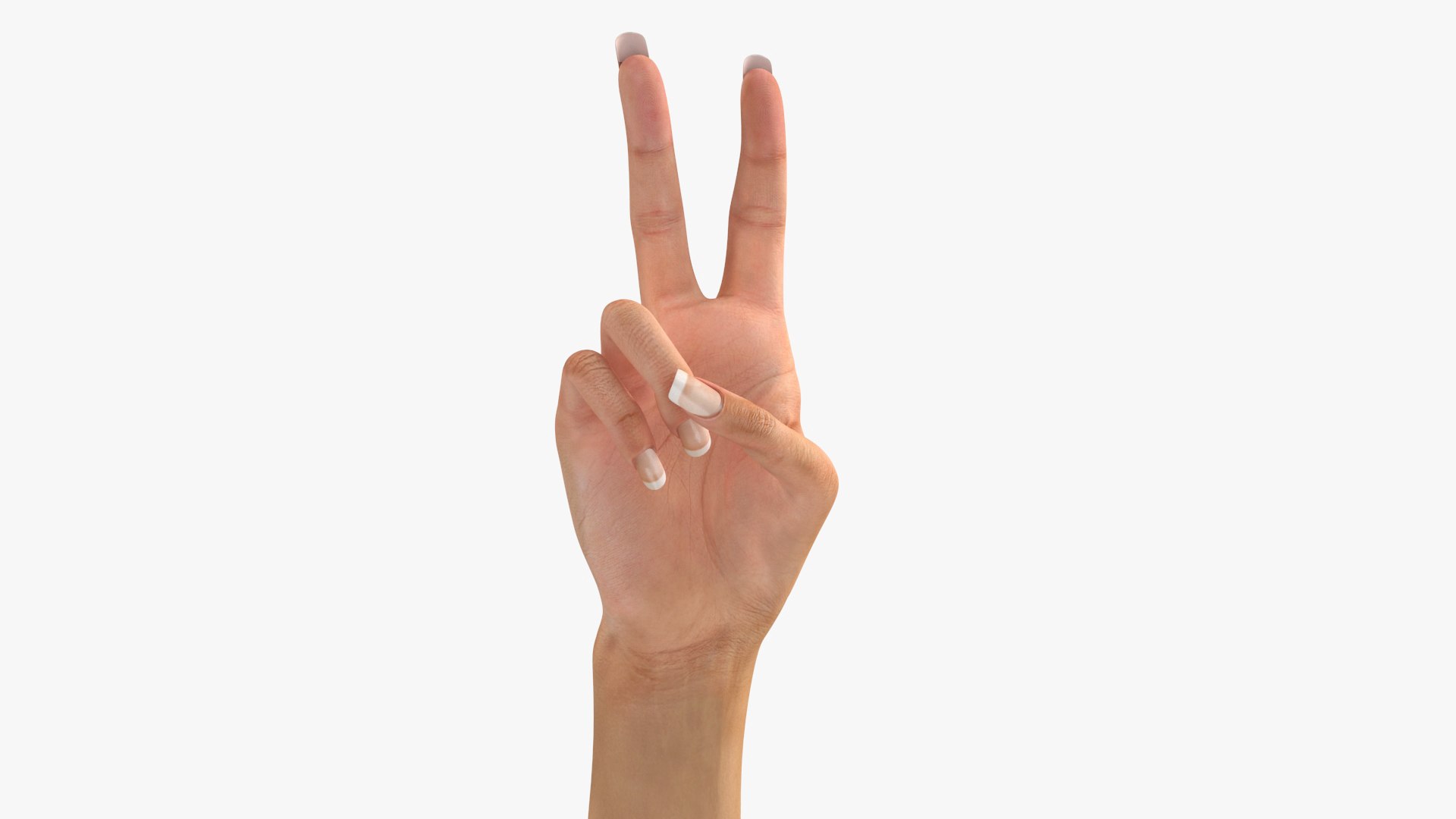 3D Model Female Hand 2 Rigged For Cinema 4D - TurboSquid 2194649