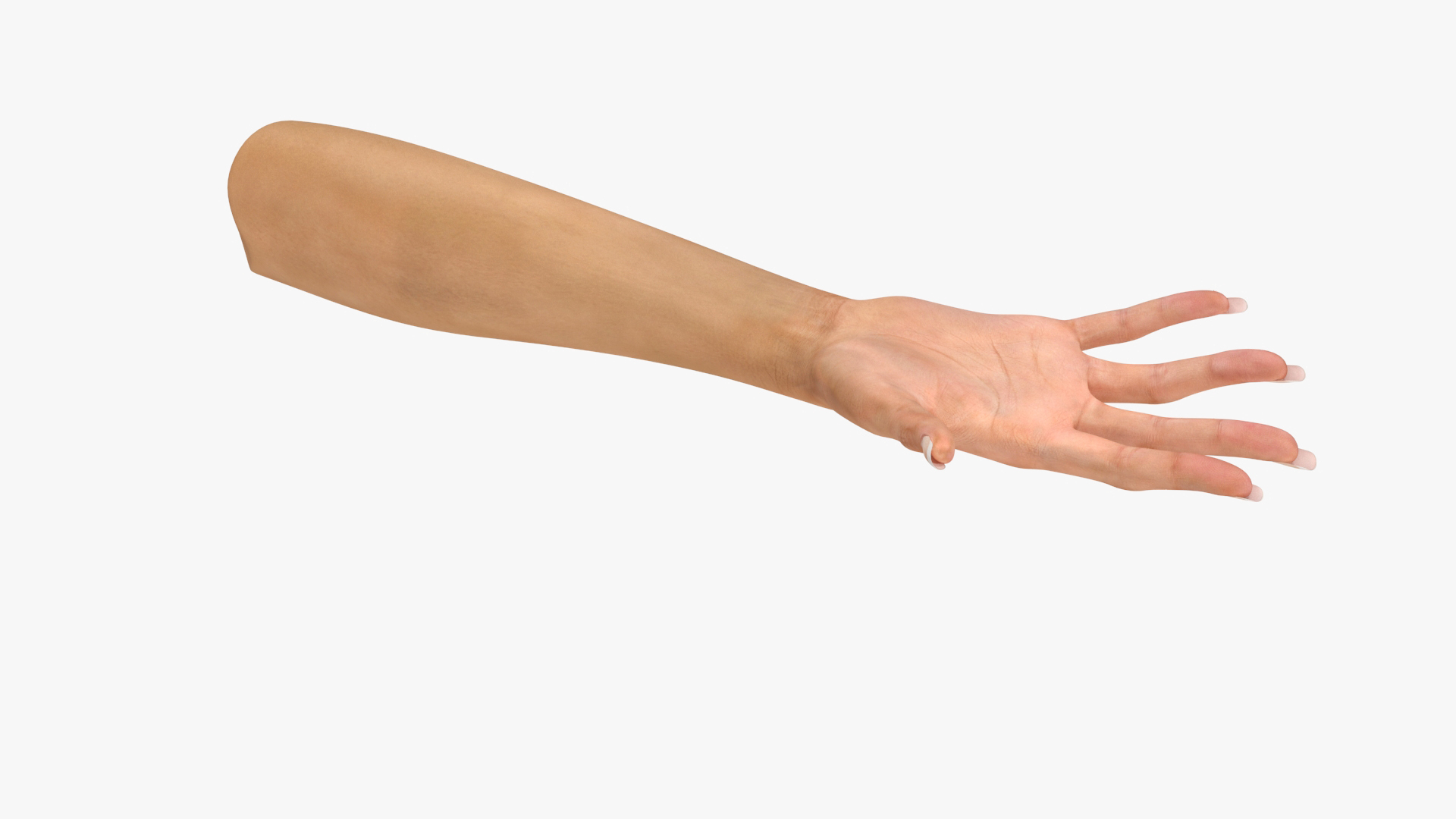 3D Model Female Hand 2 Rigged For Cinema 4D - TurboSquid 2194649