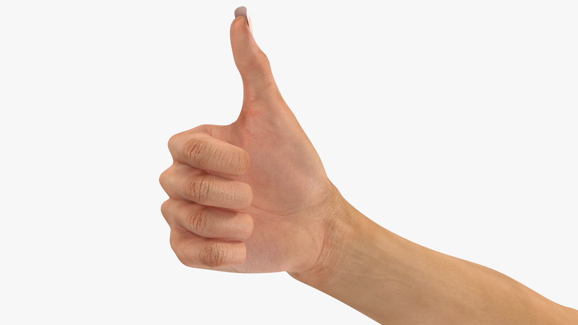 3D Model Female Hand 2 Rigged For Cinema 4D - TurboSquid 2194649