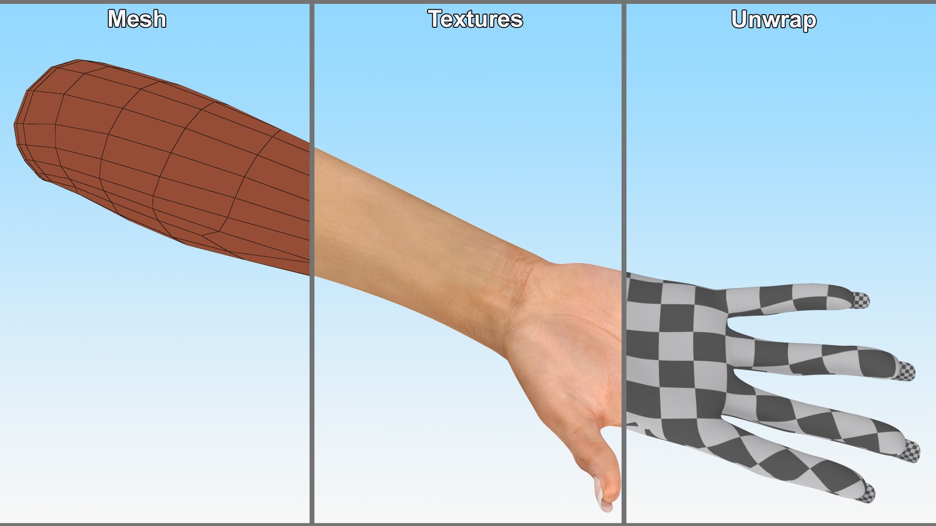 3D Model Female Hand 2 Rigged For Cinema 4D - TurboSquid 2194649