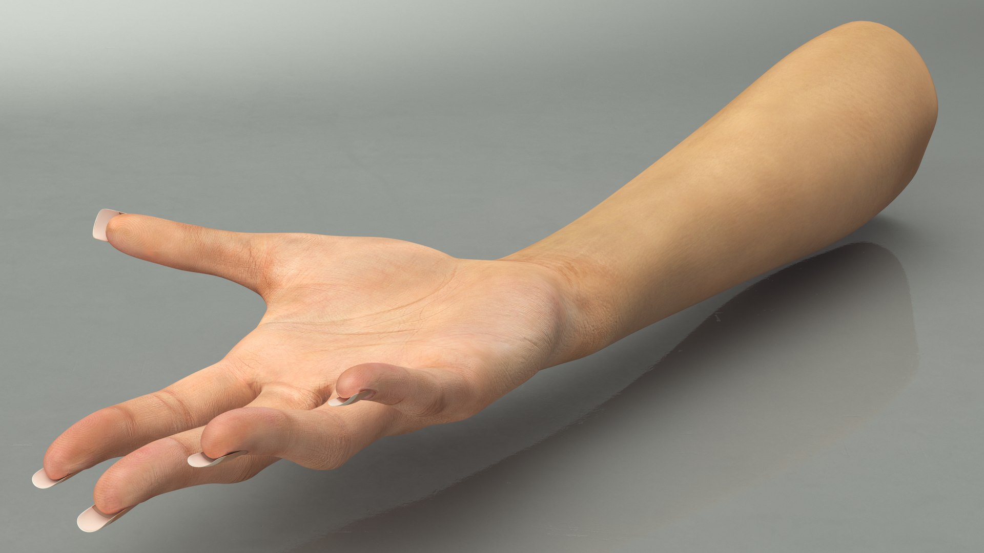 3D Model Female Hand 2 Rigged For Cinema 4D - TurboSquid 2194649