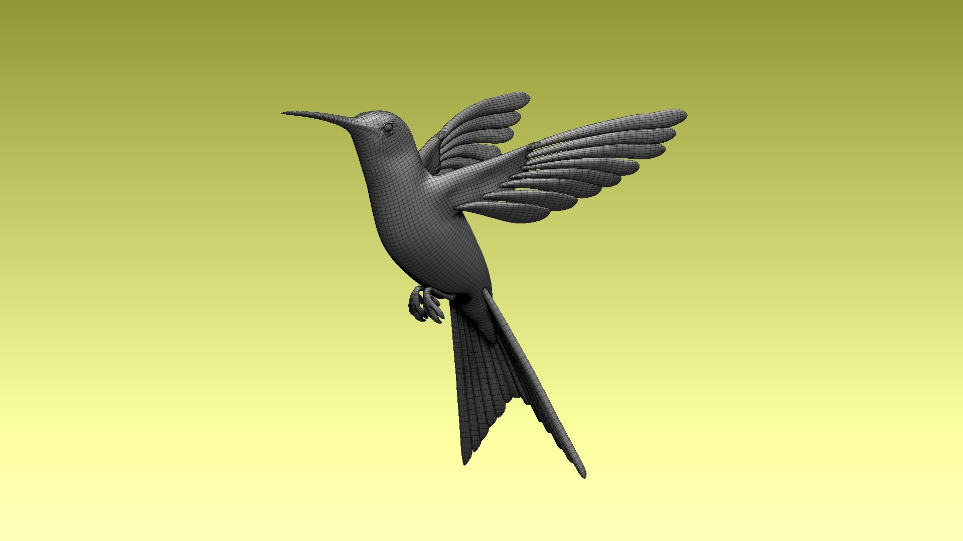 Colibri Humming Bird 3D Model - TurboSquid 1828908