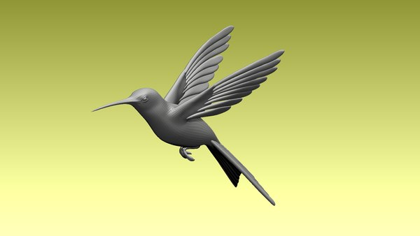 modelo 3d colibri colibrí - TurboSquid 1828908