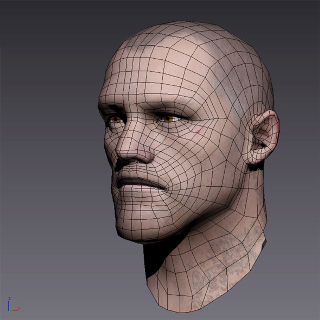 3d Realistic Male Head - Model