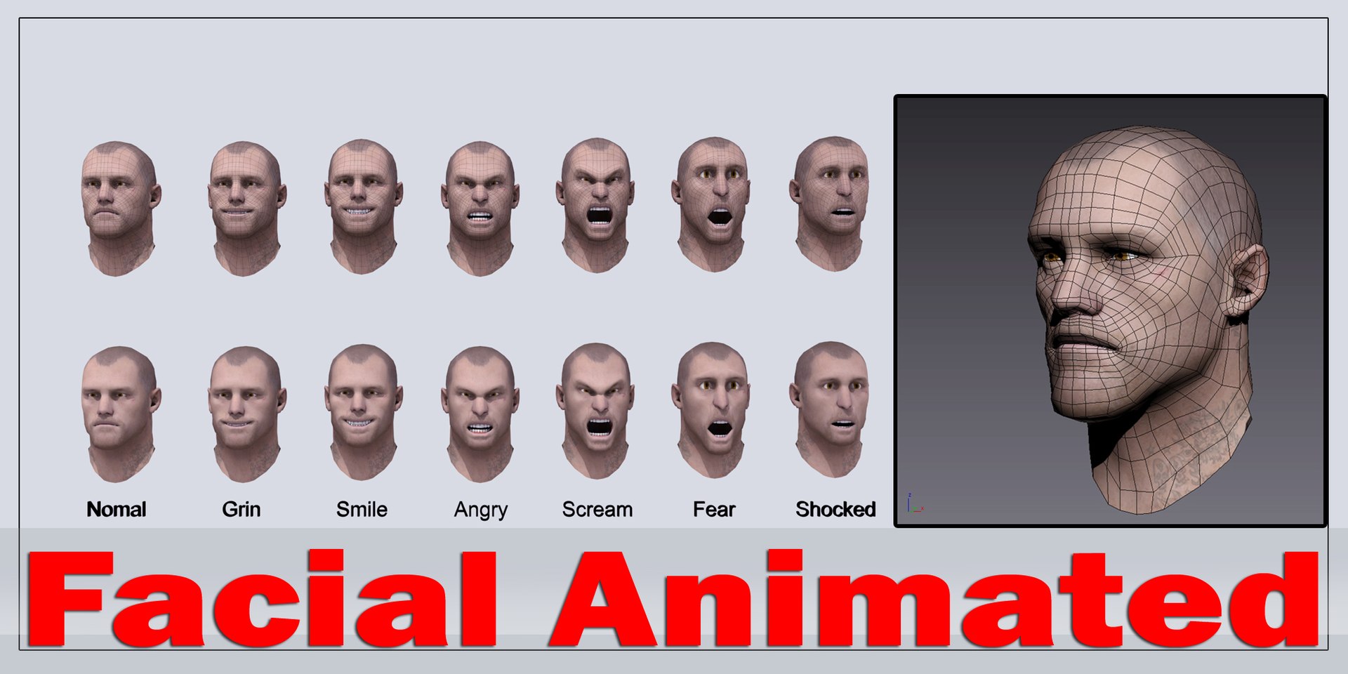 3d Realistic Male Head - Model