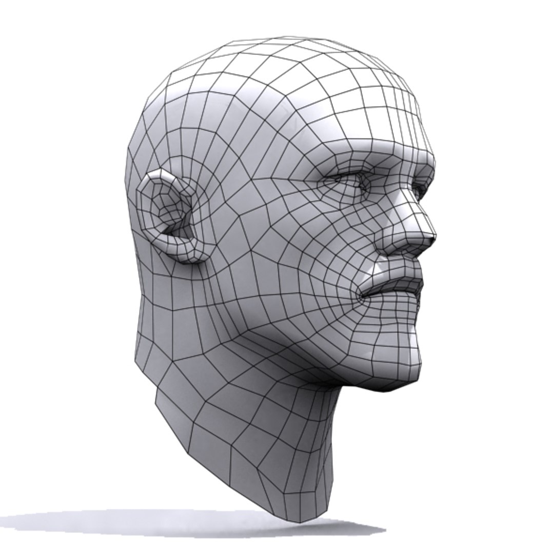 3d Realistic Male Head - Model