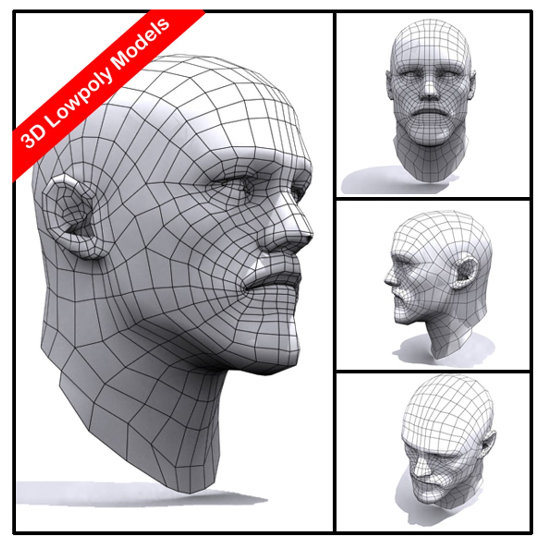 3d Realistic Male Head - Model