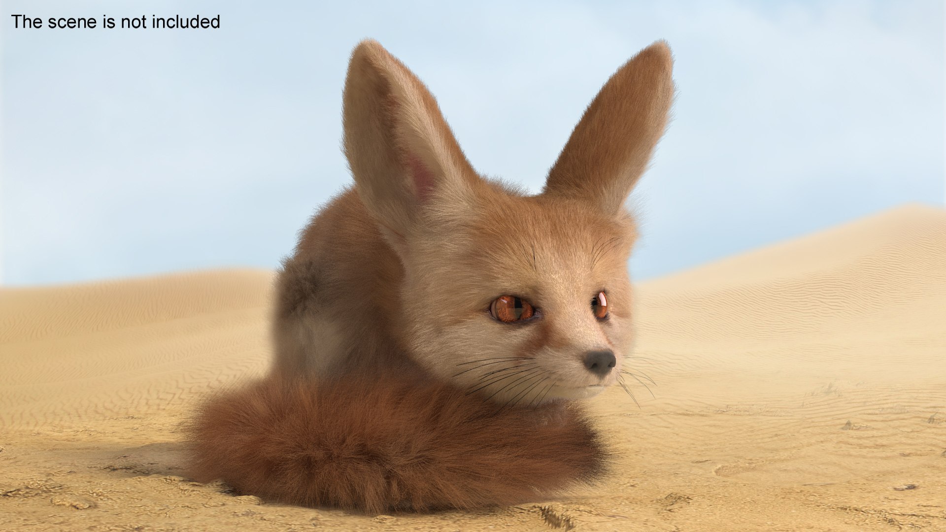 3D Smallest Fox Species Fennec Lying Pose Fur - TurboSquid 2182911