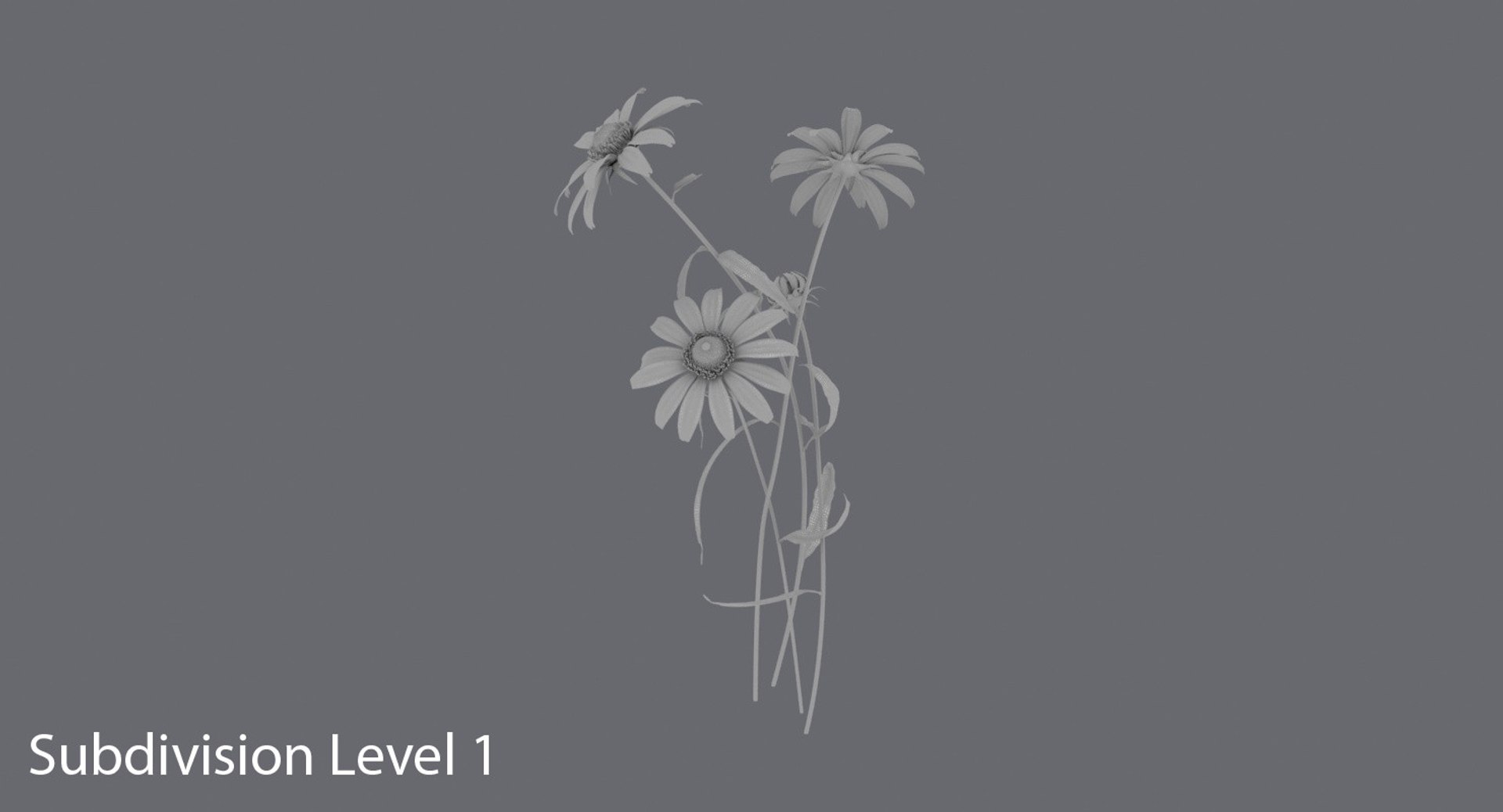 3d Model Black-eyed-susan---natural-group