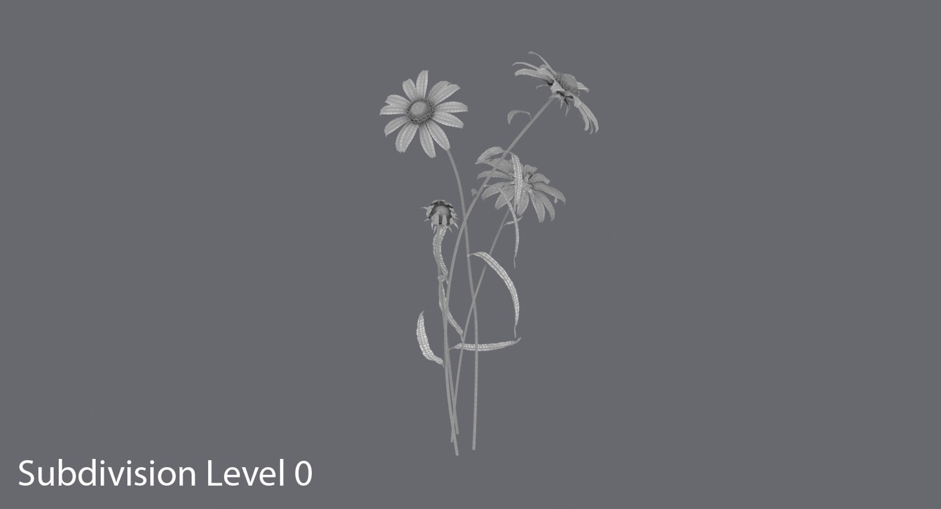 3d Model Black-eyed-susan---natural-group