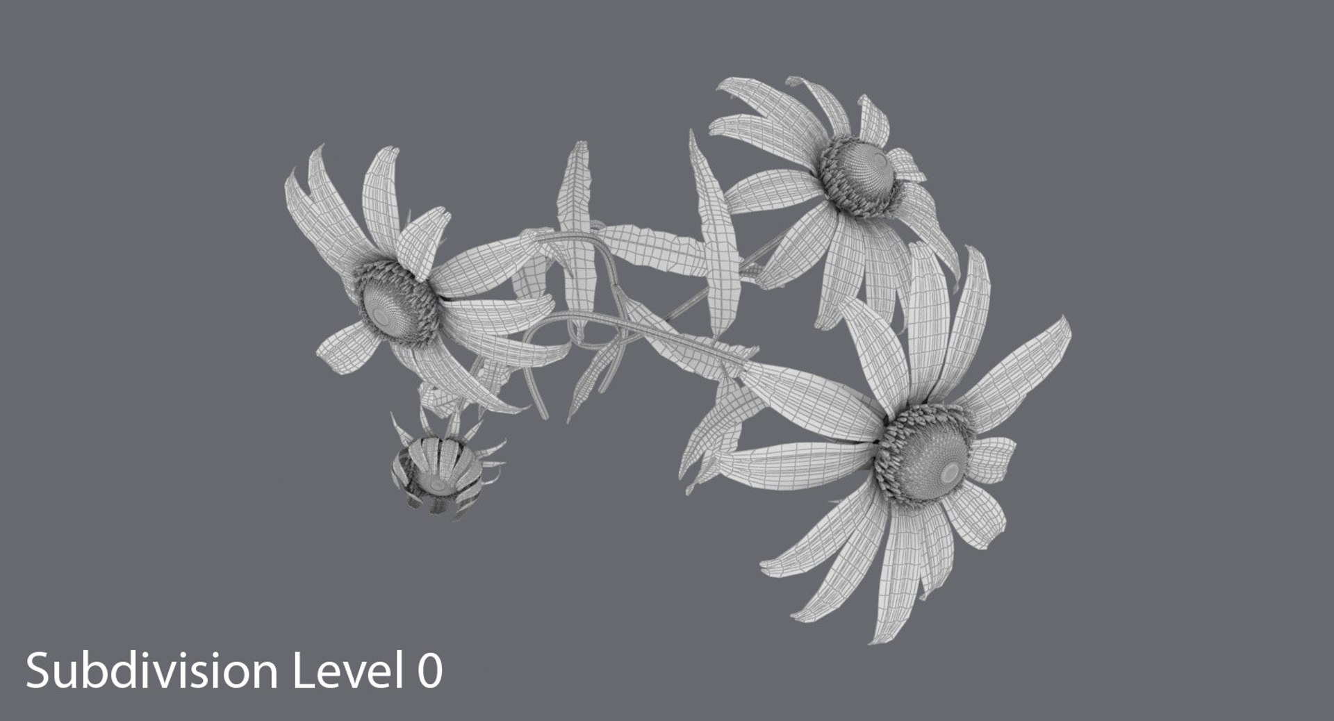 3d Model Black-eyed-susan---natural-group
