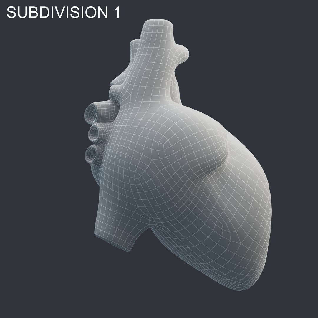 Human heart animation 3D model - TurboSquid 1298711