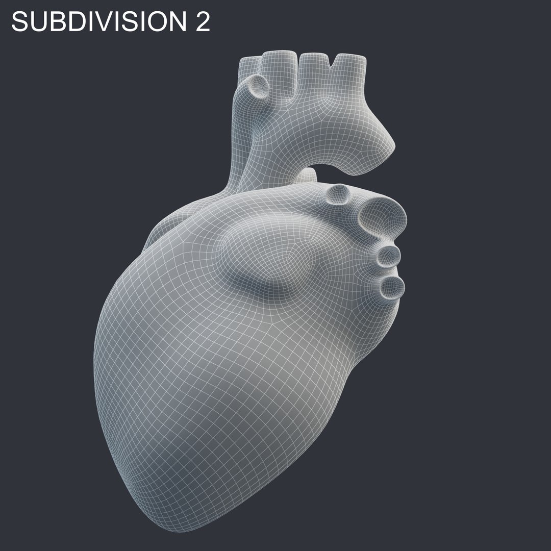 Human heart animation 3D model - TurboSquid 1298711