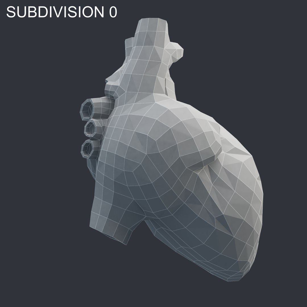 Human heart animation 3D model - TurboSquid 1298711