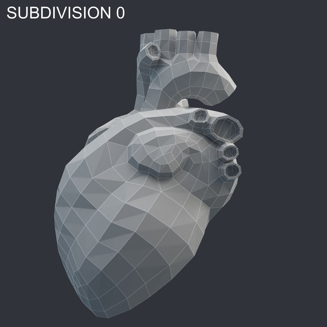 Human Heart Animation 3D Model - TurboSquid 1298711