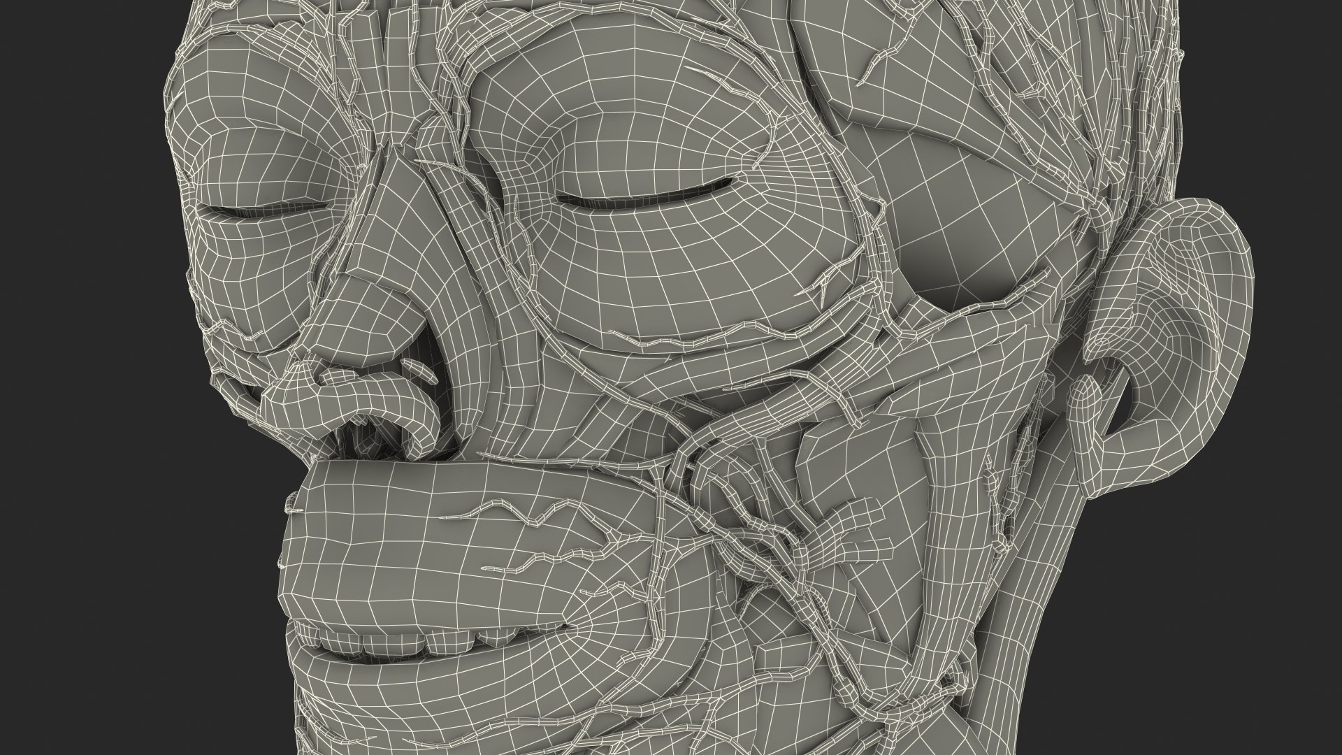 3D Female Anatomy Head - TurboSquid 1853458