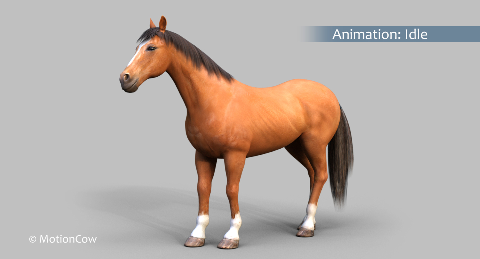 3D brown horse rig - TurboSquid 1381715