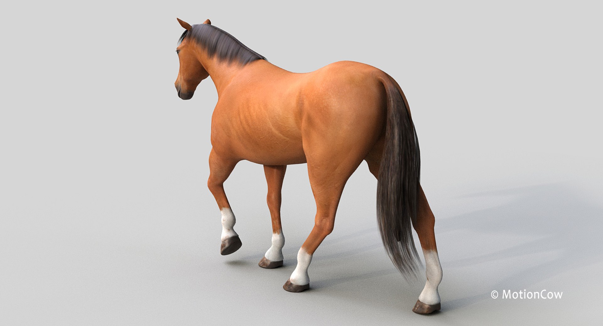 3D Brown Horse Rig - TurboSquid 1381715