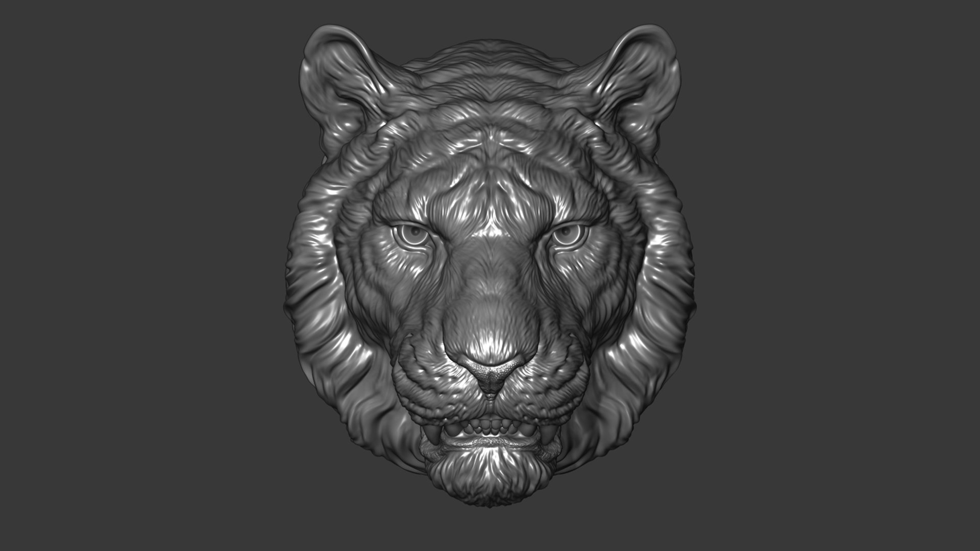 Tiger toothy 3D - TurboSquid 1892617