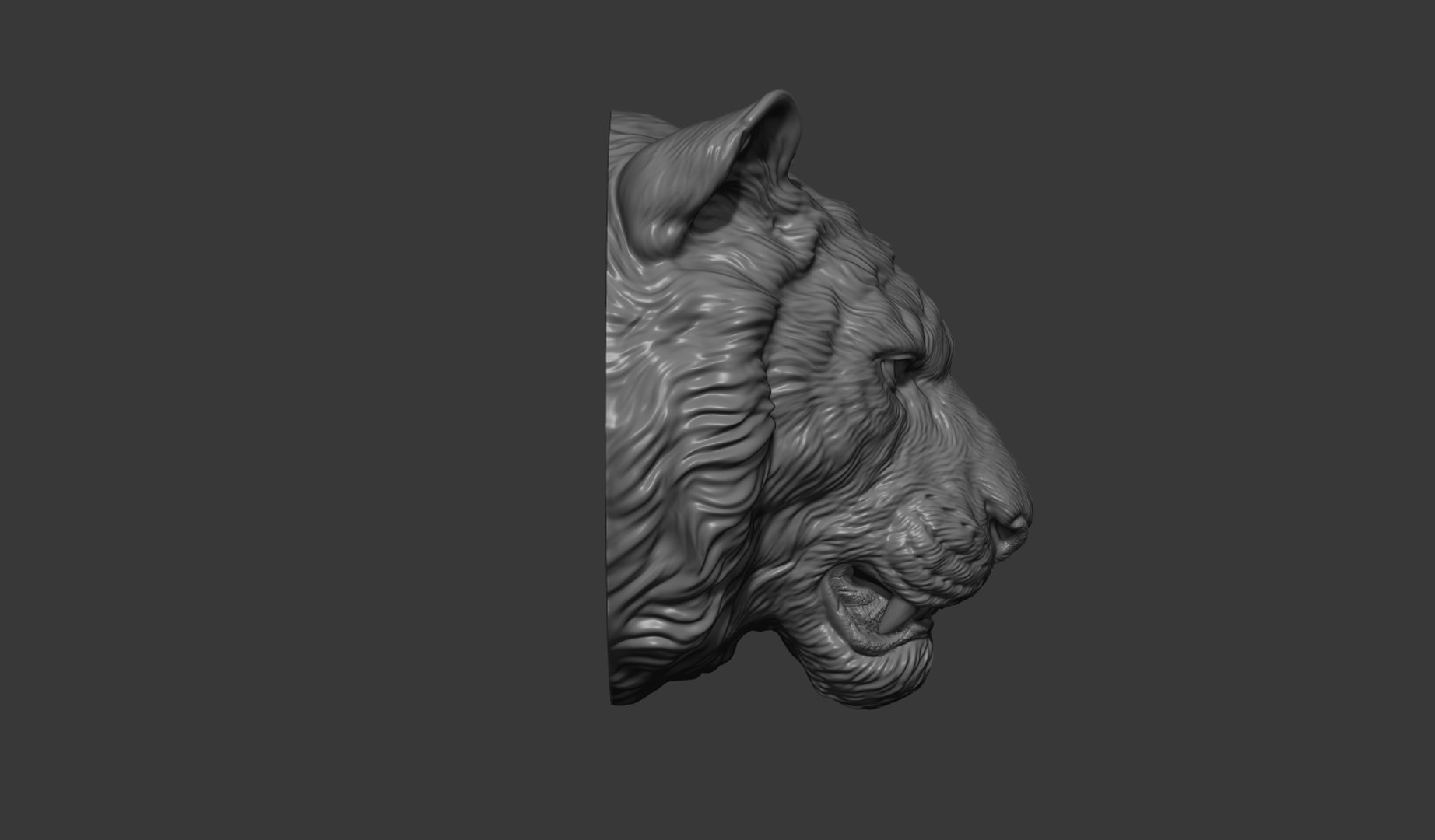 Tiger toothy 3D - TurboSquid 1892617