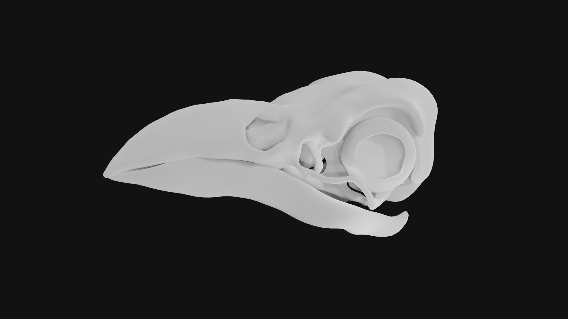 Raven Skull 3D Model - TurboSquid 1992832