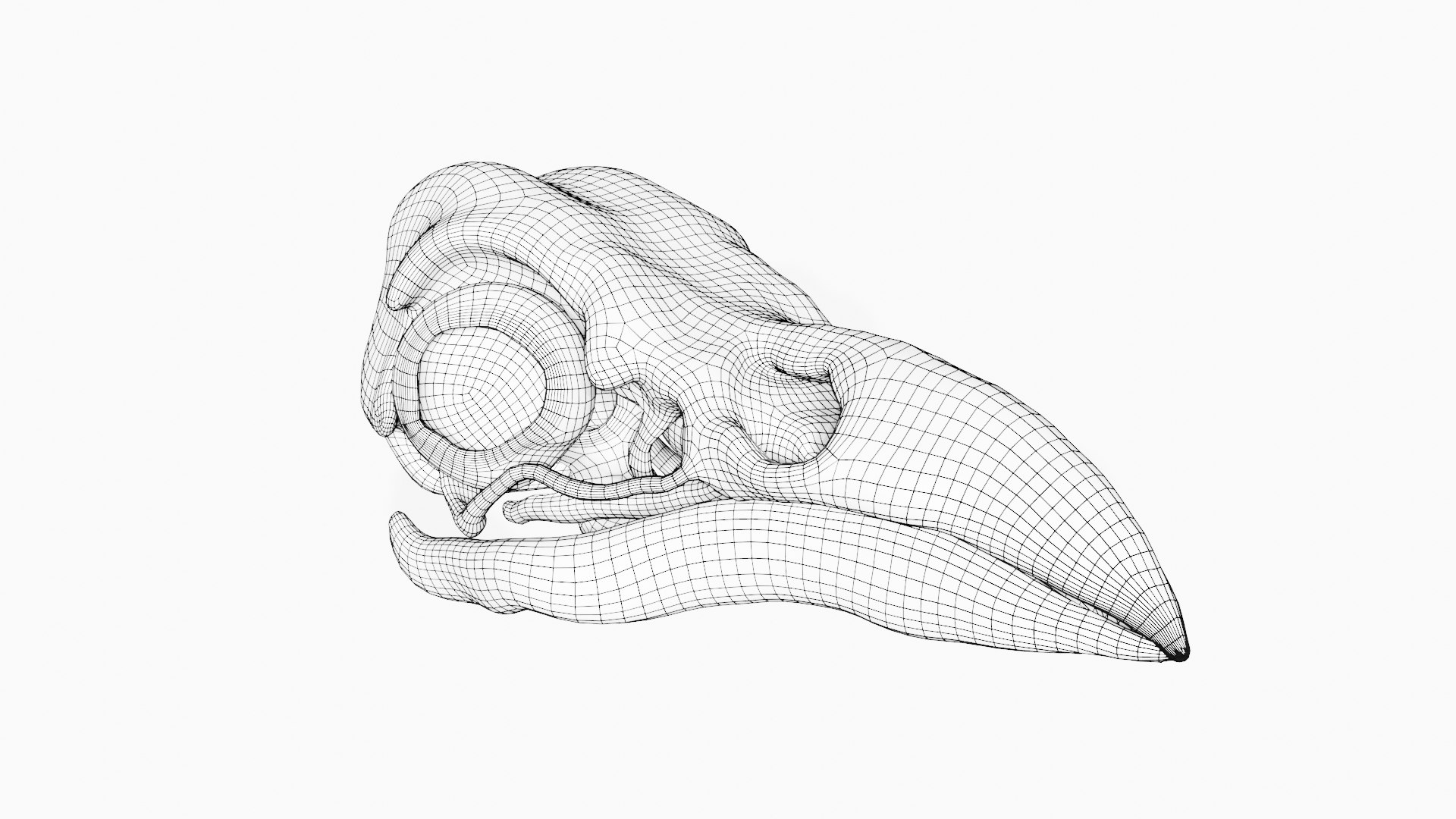 Raven Skull 3D Model - TurboSquid 1992832