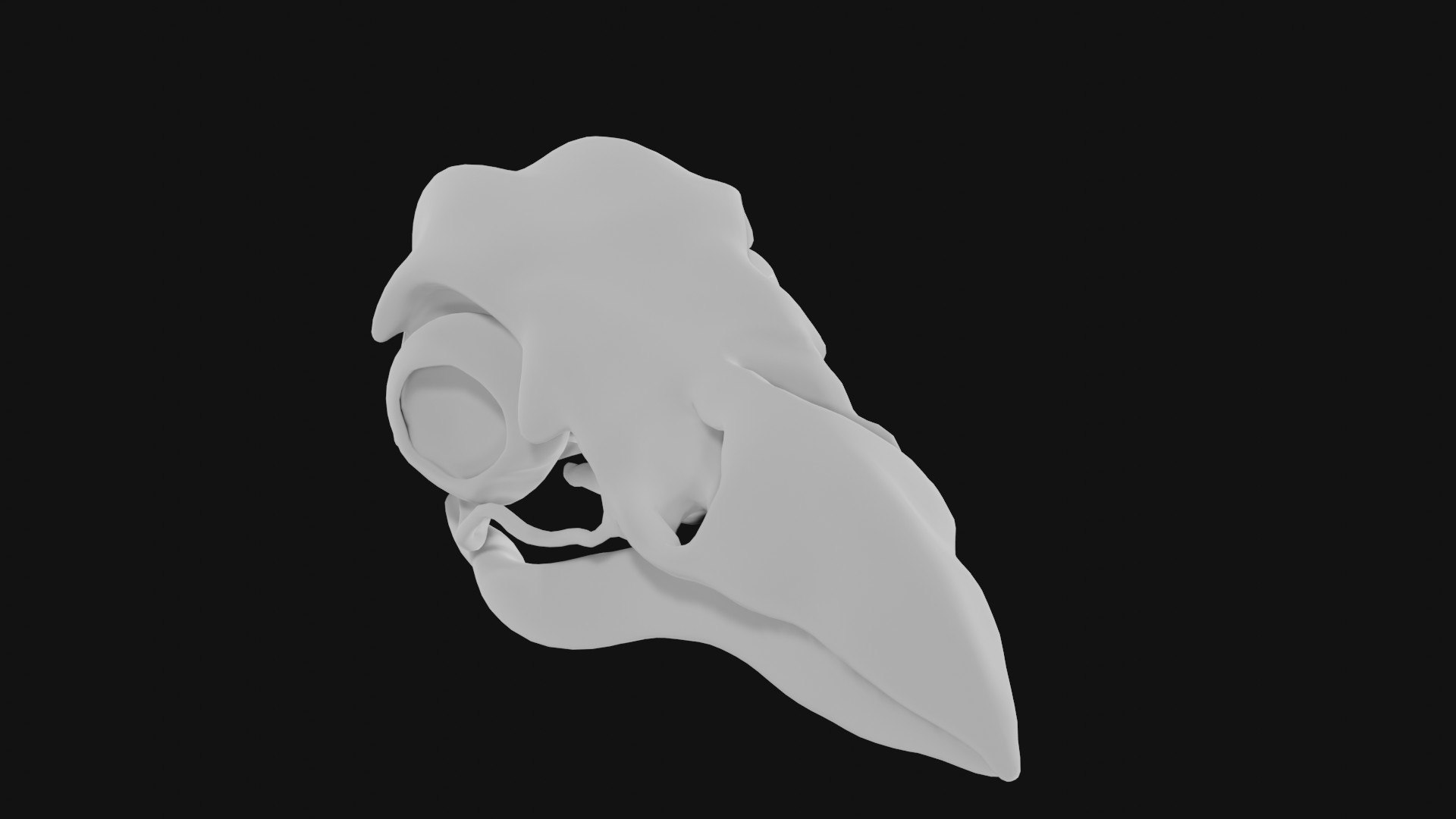 Raven Skull 3D Model - TurboSquid 1992832