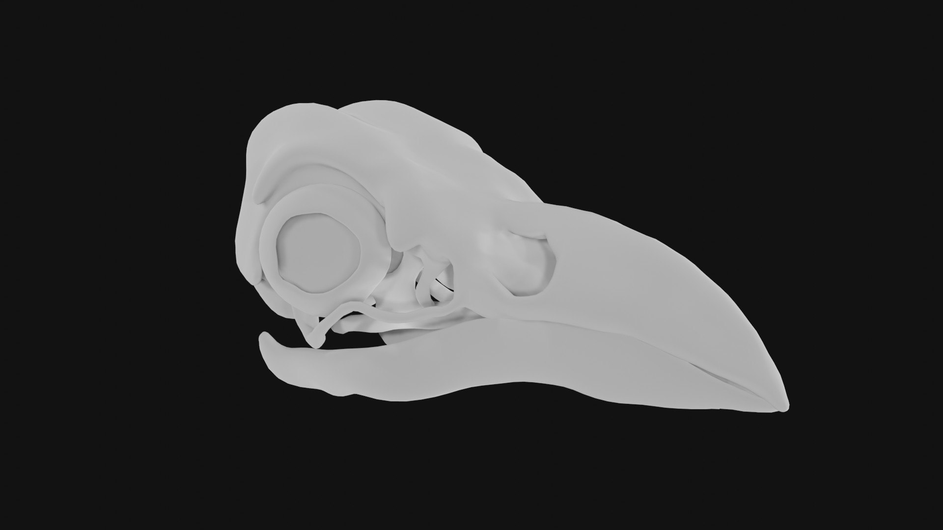 Raven Skull 3D Model - TurboSquid 1992832