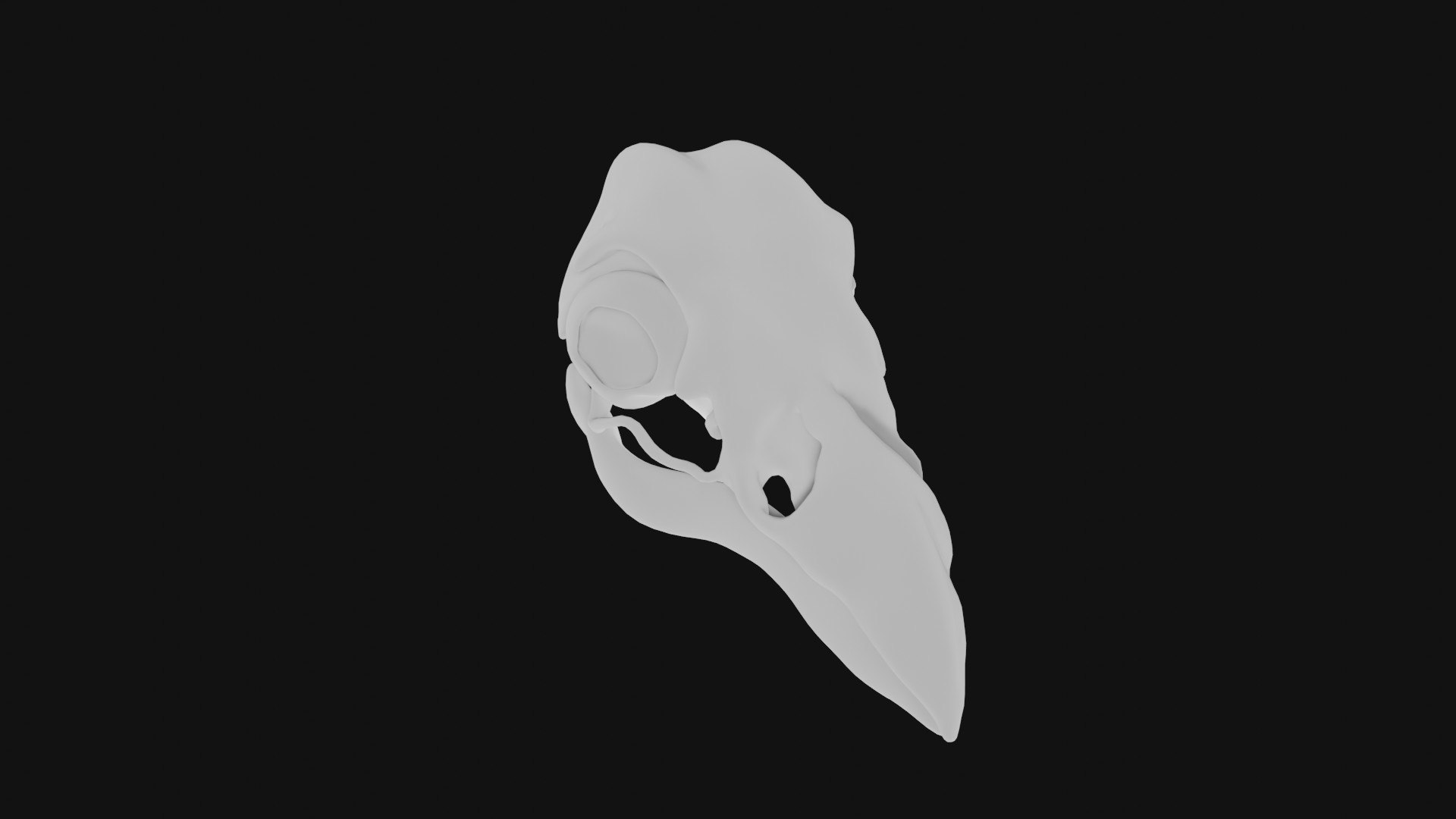 Raven Skull 3D Model - TurboSquid 1992832