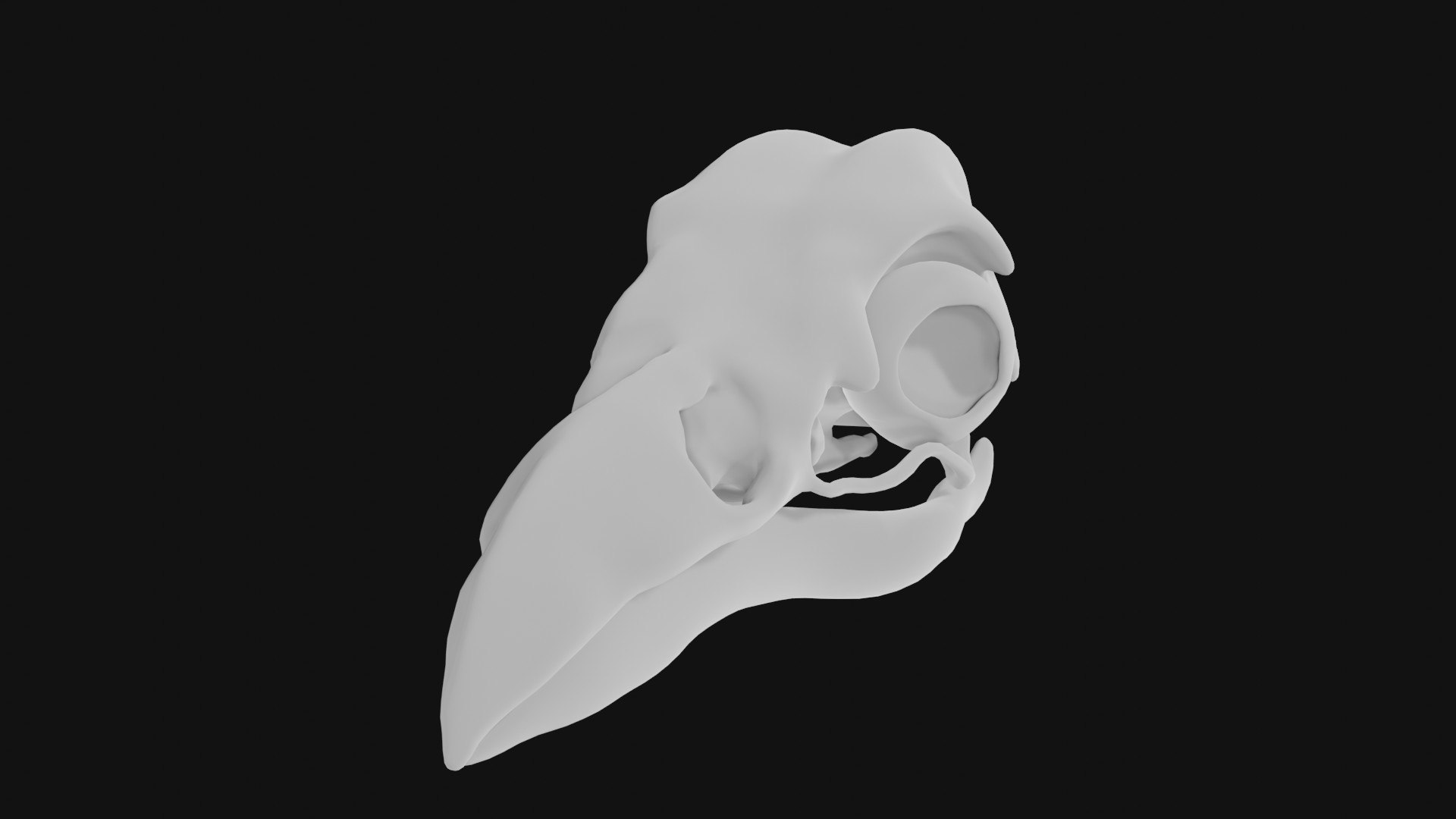 Raven Skull 3D Model - TurboSquid 1992832