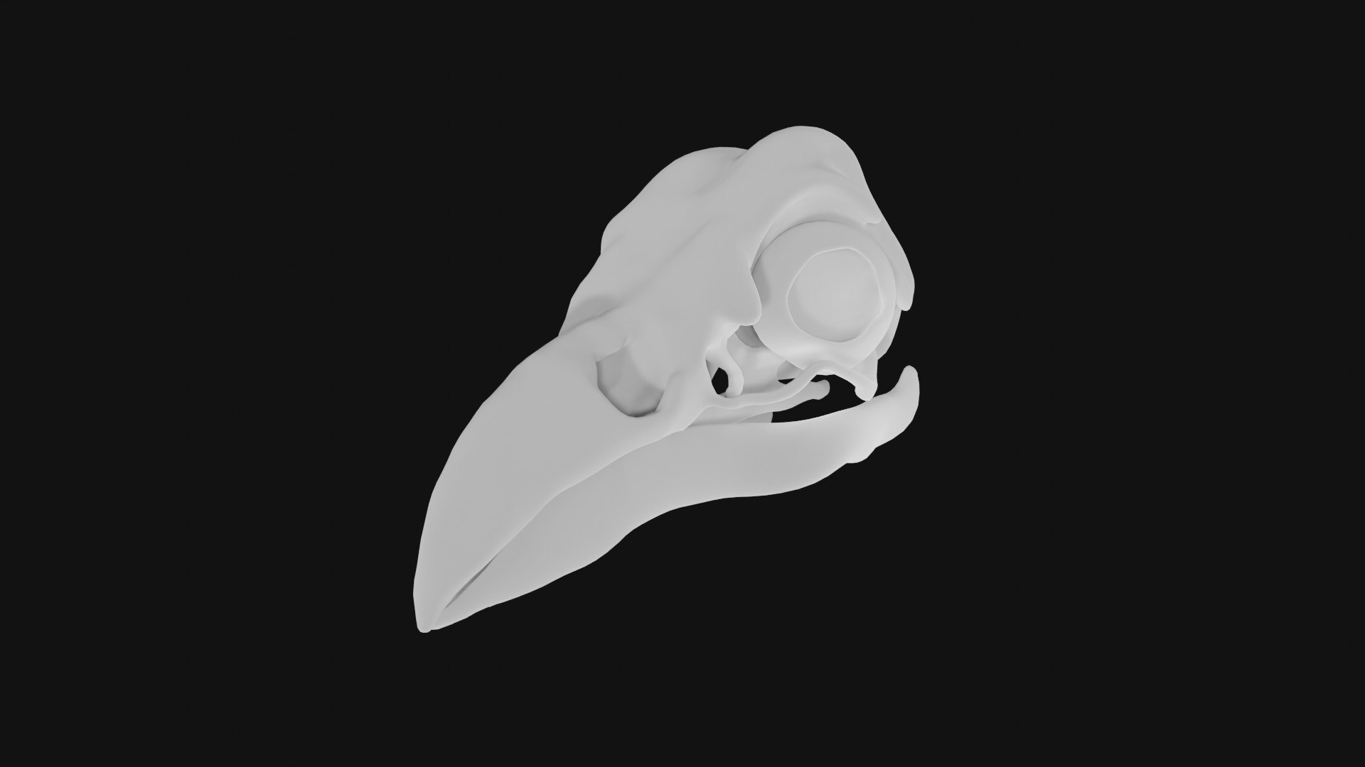 Raven Skull 3D Model - TurboSquid 1992832
