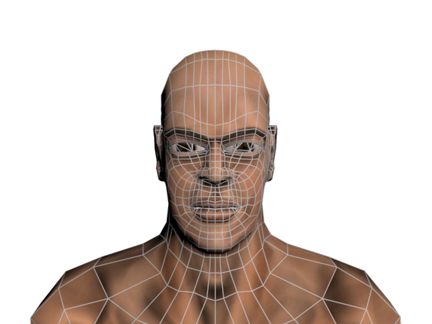 3d male body