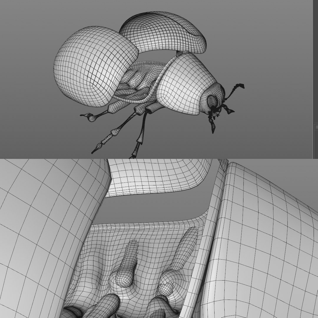 3D Cartoon Ladybug - TurboSquid 1268899