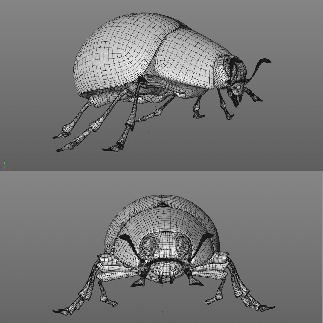 3D Cartoon Ladybug - TurboSquid 1268899
