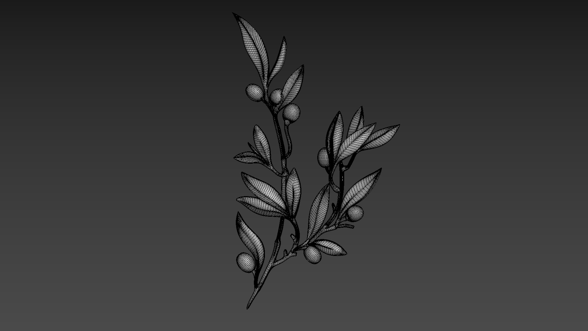 3D Olive Branch Relief Model - TurboSquid 2392479