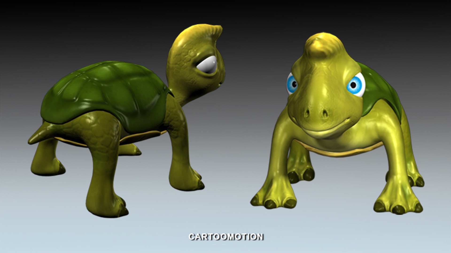 3d foo turtle