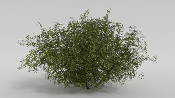 Free 3D Hedge Models | TurboSquid